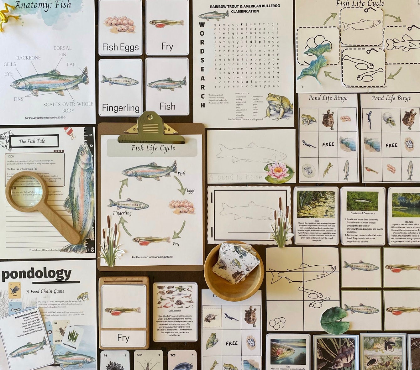 Pond Life Nature Study Unit - Etsy
