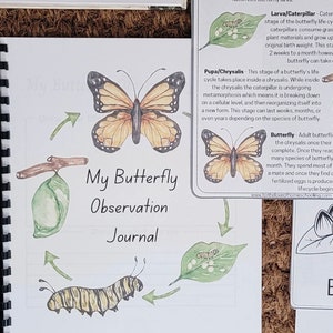 Butterfly Life Cycle Nature Study - Etsy