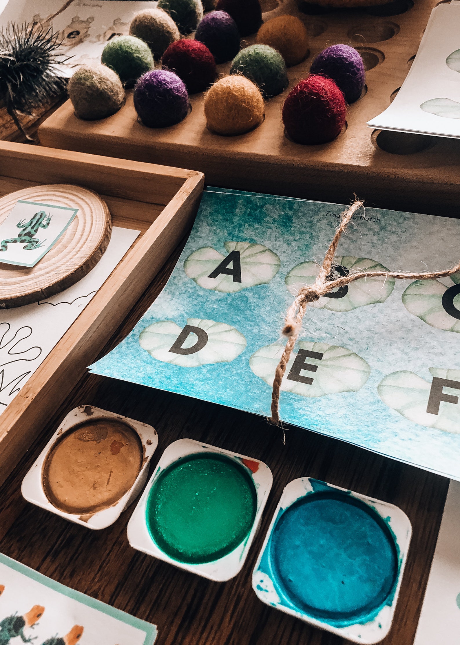 Frog Themed Learning Pack - Etsy