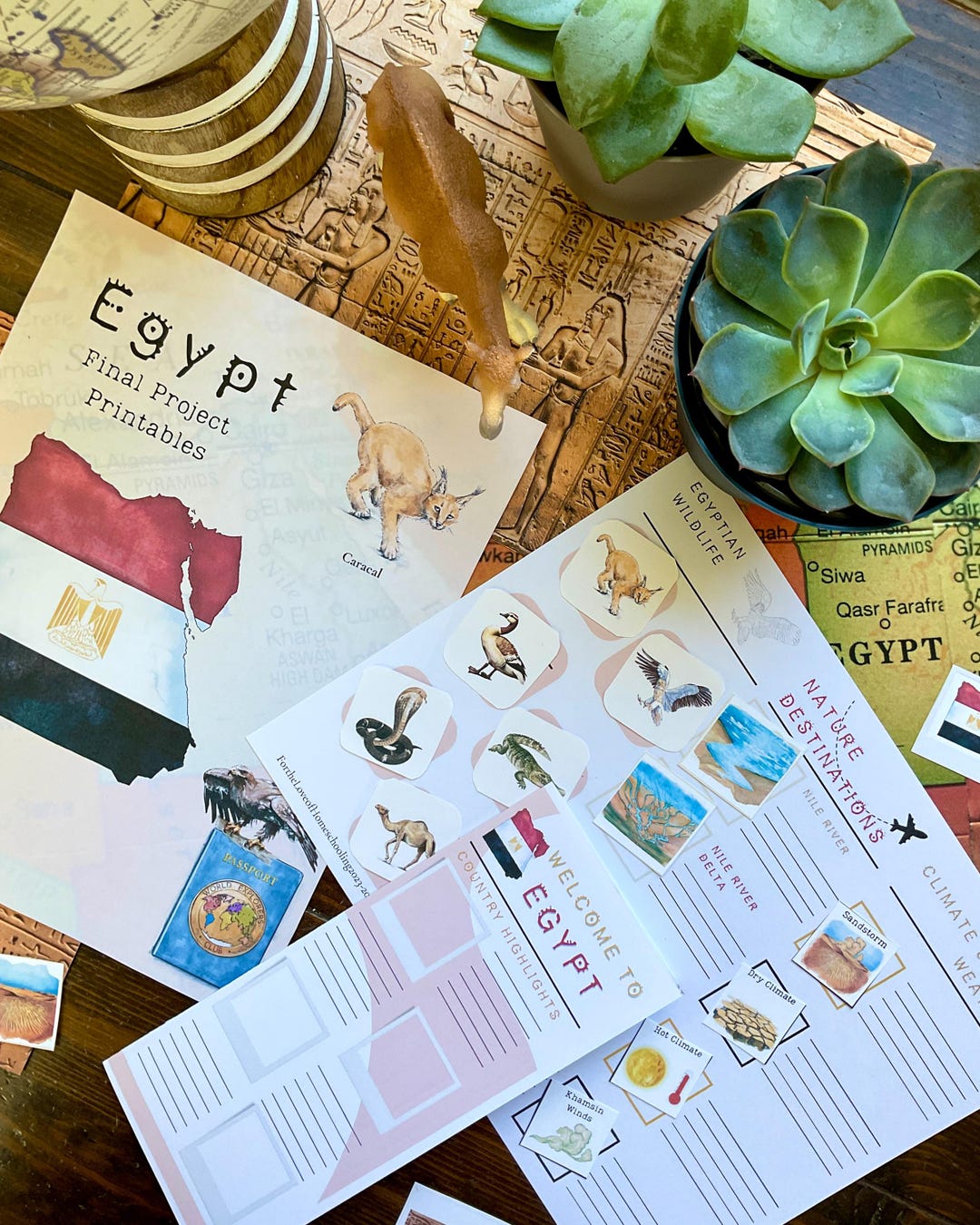 Egypt Country Study - Etsy