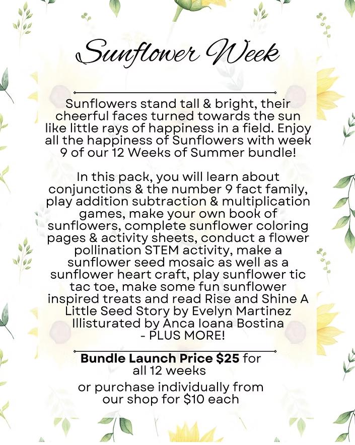 12 Weeks of Summer Bundle - Etsy