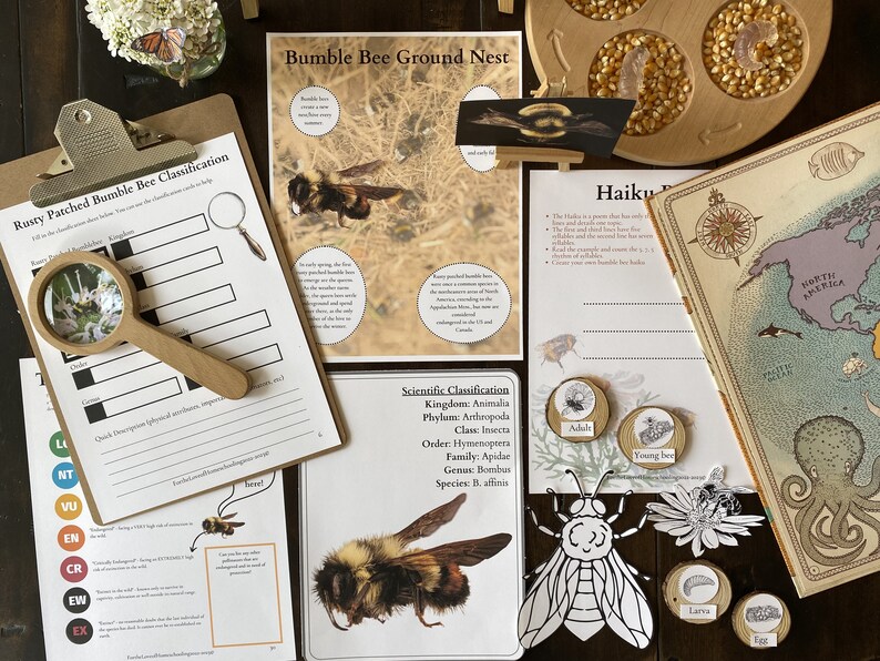 5 P's of Pollinators - Etsy