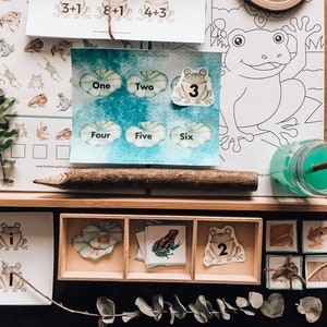 Frog Themed Learning Pack - Etsy