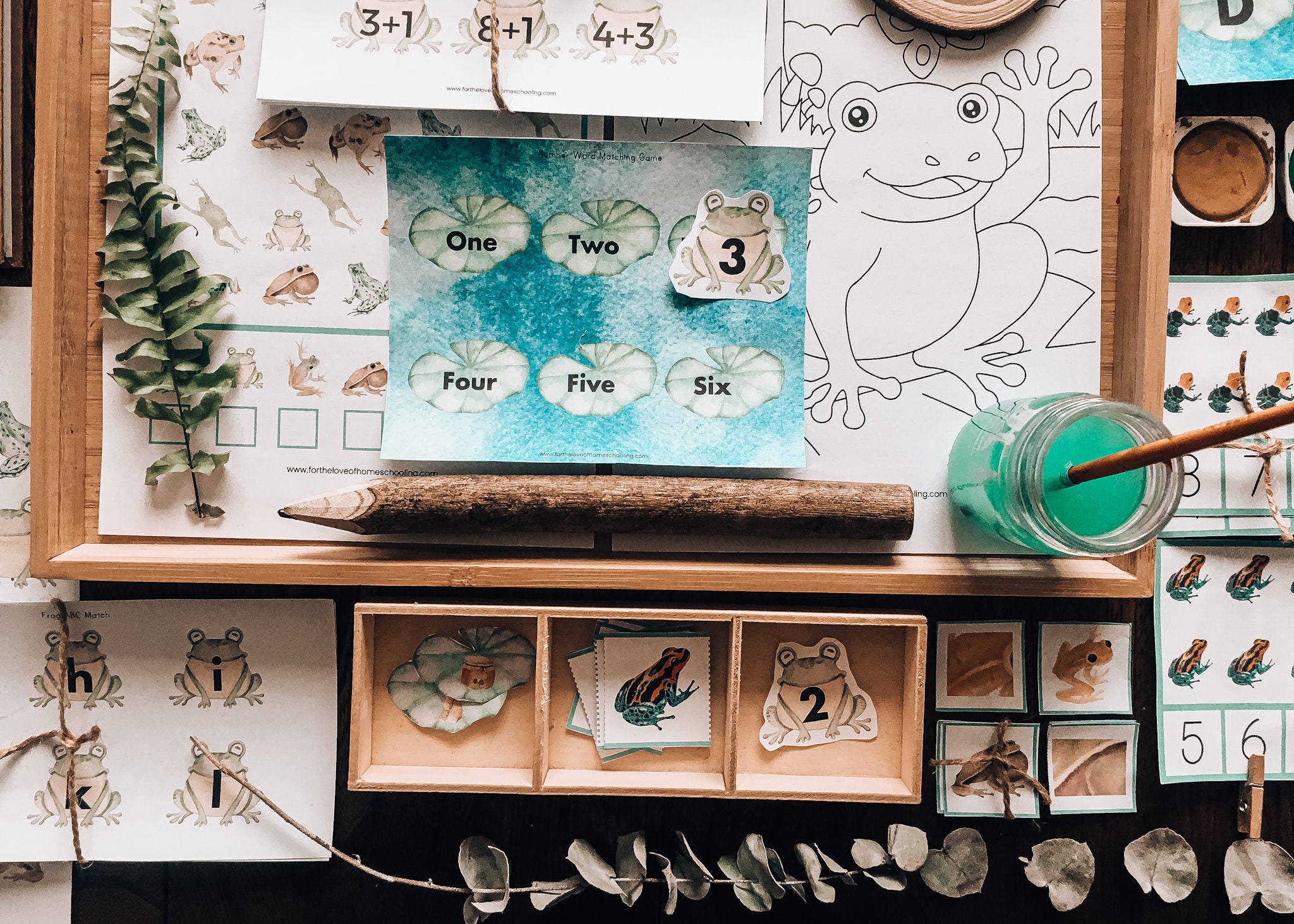 Frog Themed Learning Pack - Etsy