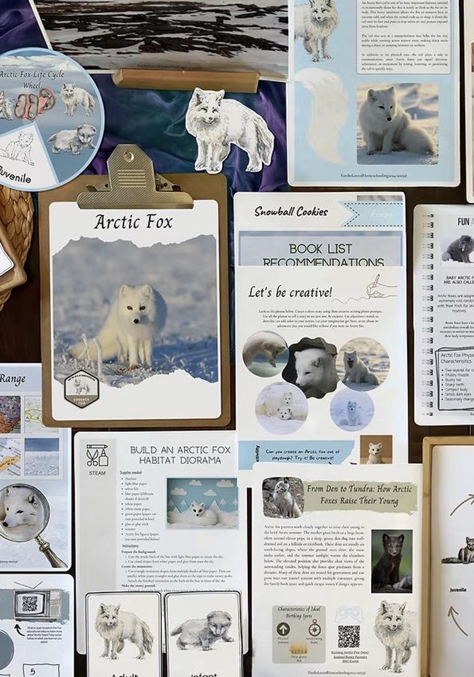 Arctic Fox Nature Study - Etsy