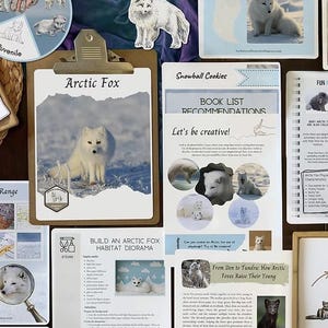 Arctic Fox Nature Study - Etsy