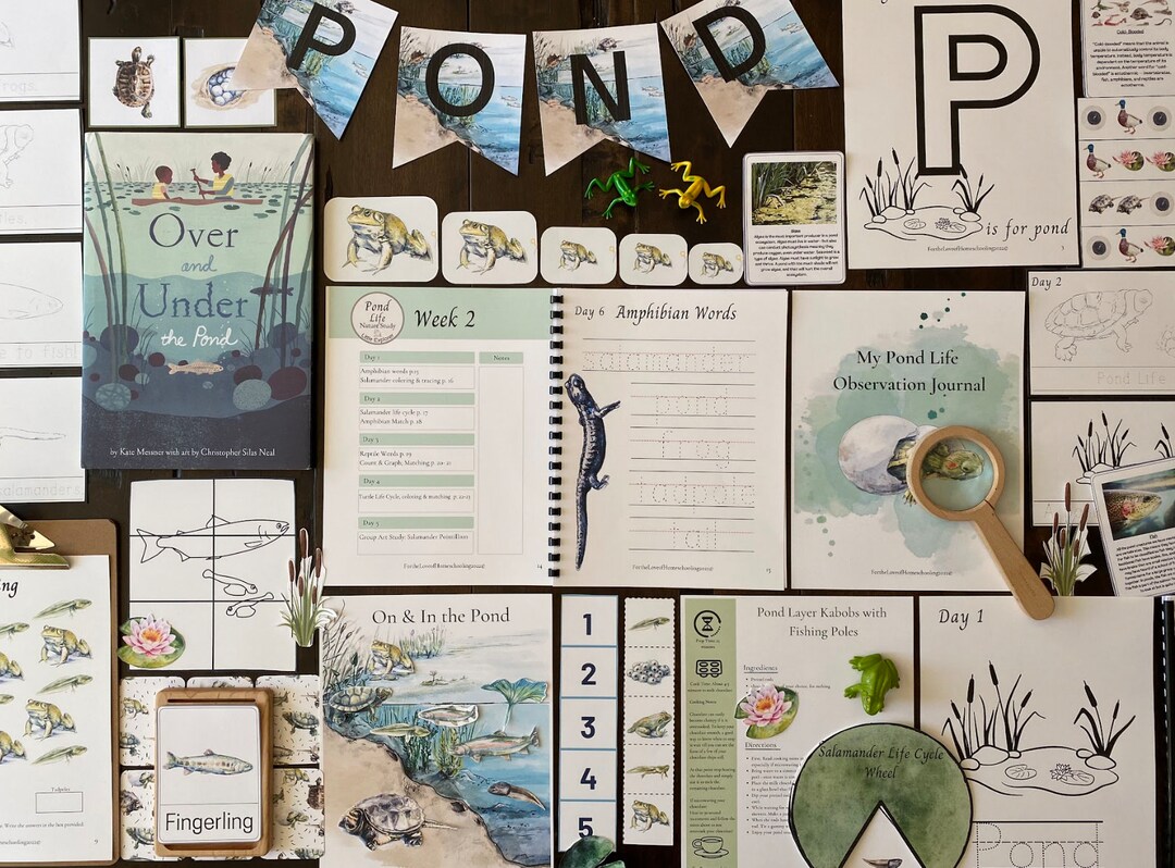 Pond Life Nature Study Unit - Etsy