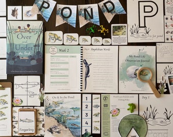 Pond Unit, Pond Study, Montessori Inspired, Homeschool, Homeschool ...