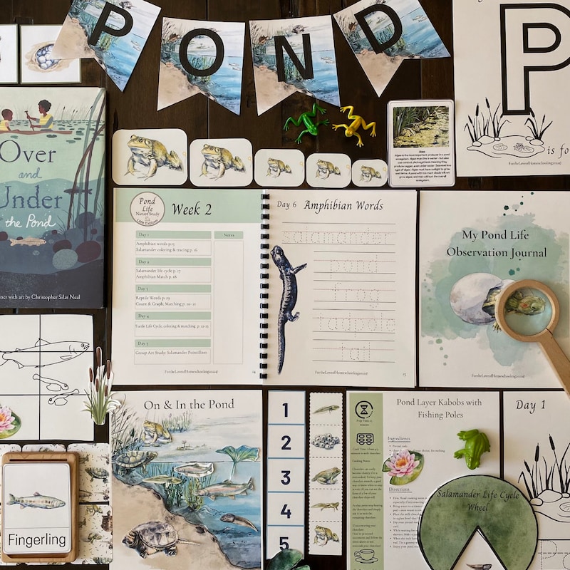 Pond - Etsy