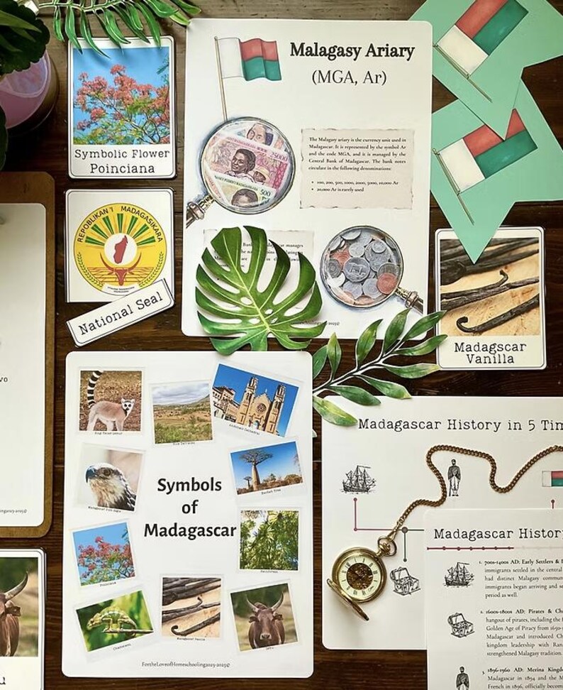 Madagascar Country Study - Etsy