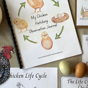 Chicken Life Cycle Nature Study - Etsy