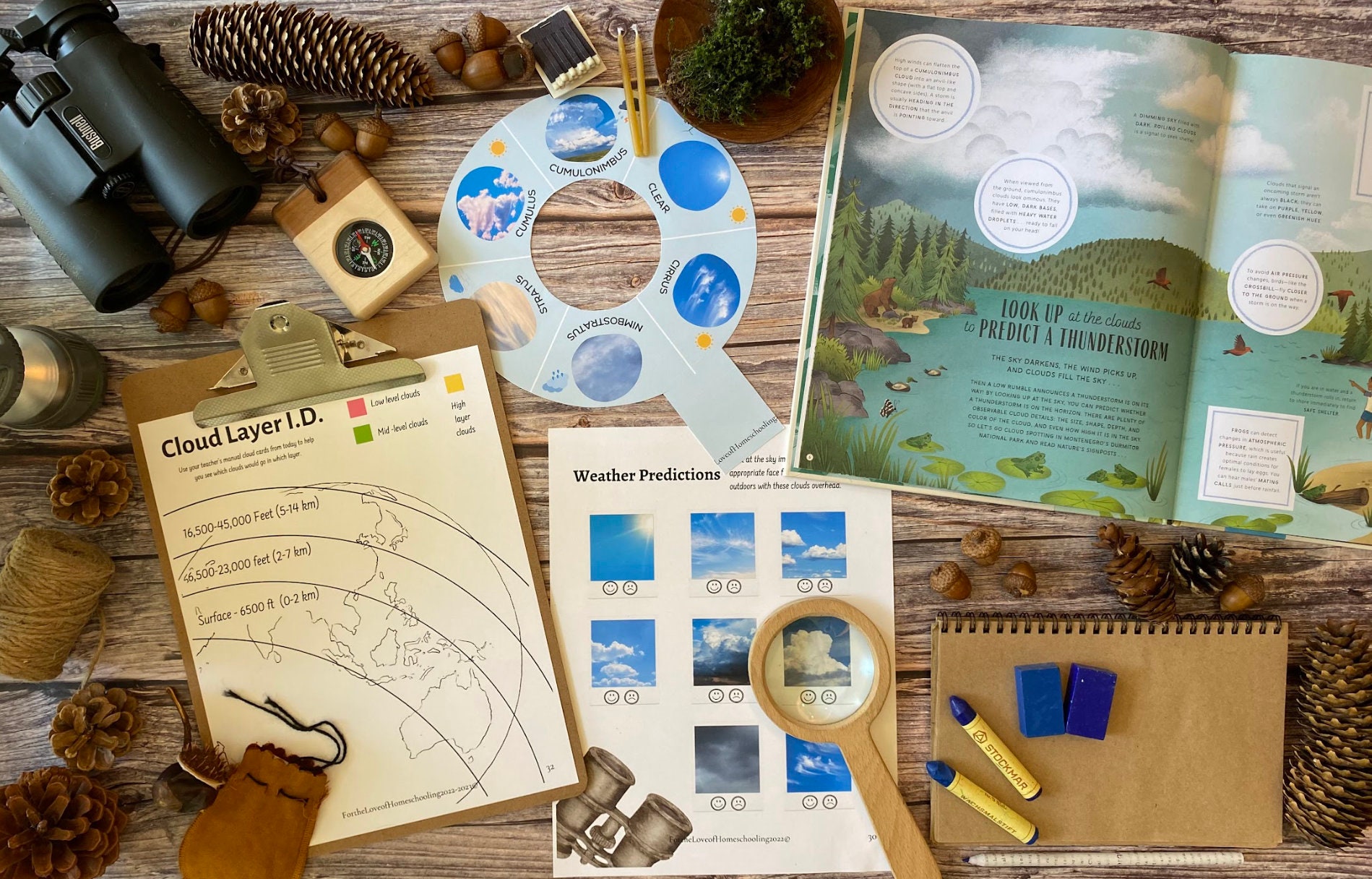 Nature Signs & Survival Nature Study - Etsy