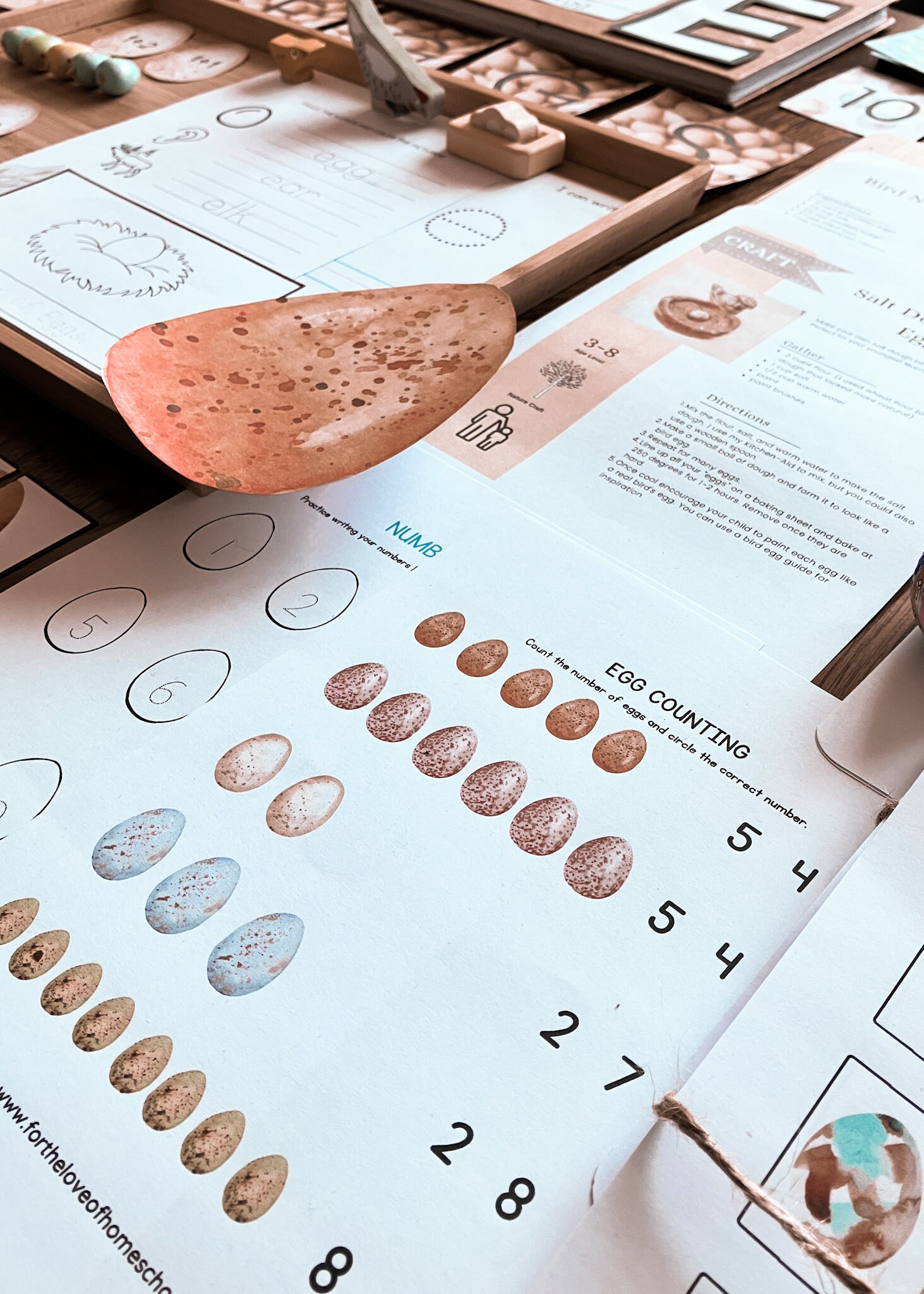 E is for Egg Early Learning Pack - Etsy