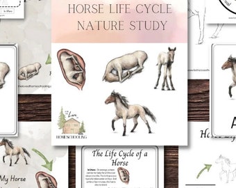 Farm Unit Study, Chicken Unit Study, Farm Animals Activities, Pea Plant ...