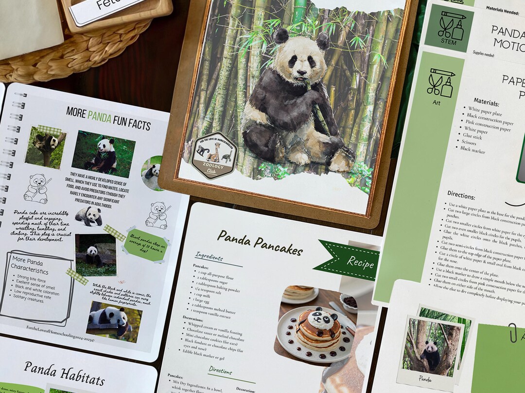 Panda Nature Study - Etsy