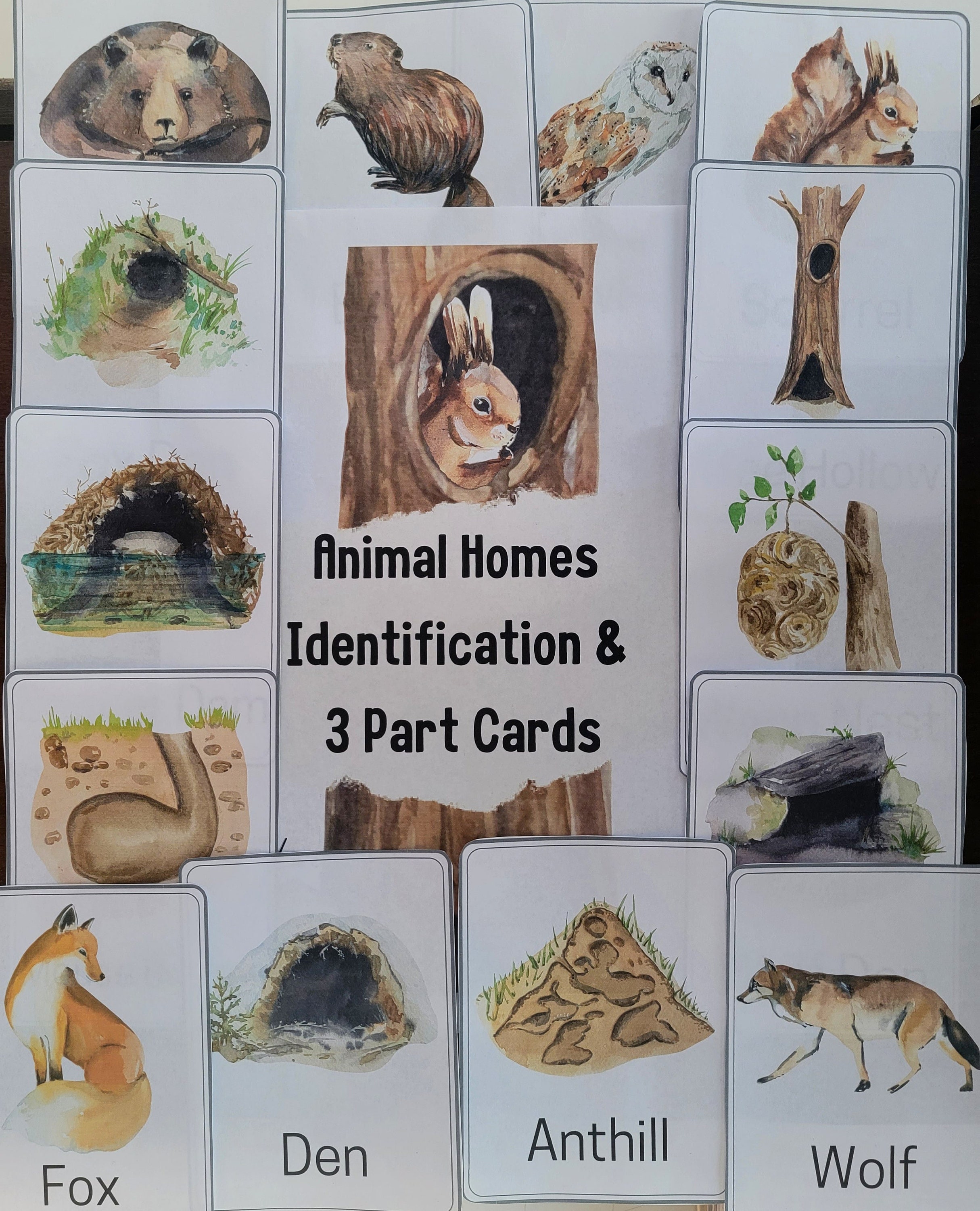 Animal Homes Identification, 3 Part Cards & Poster Set - Etsy