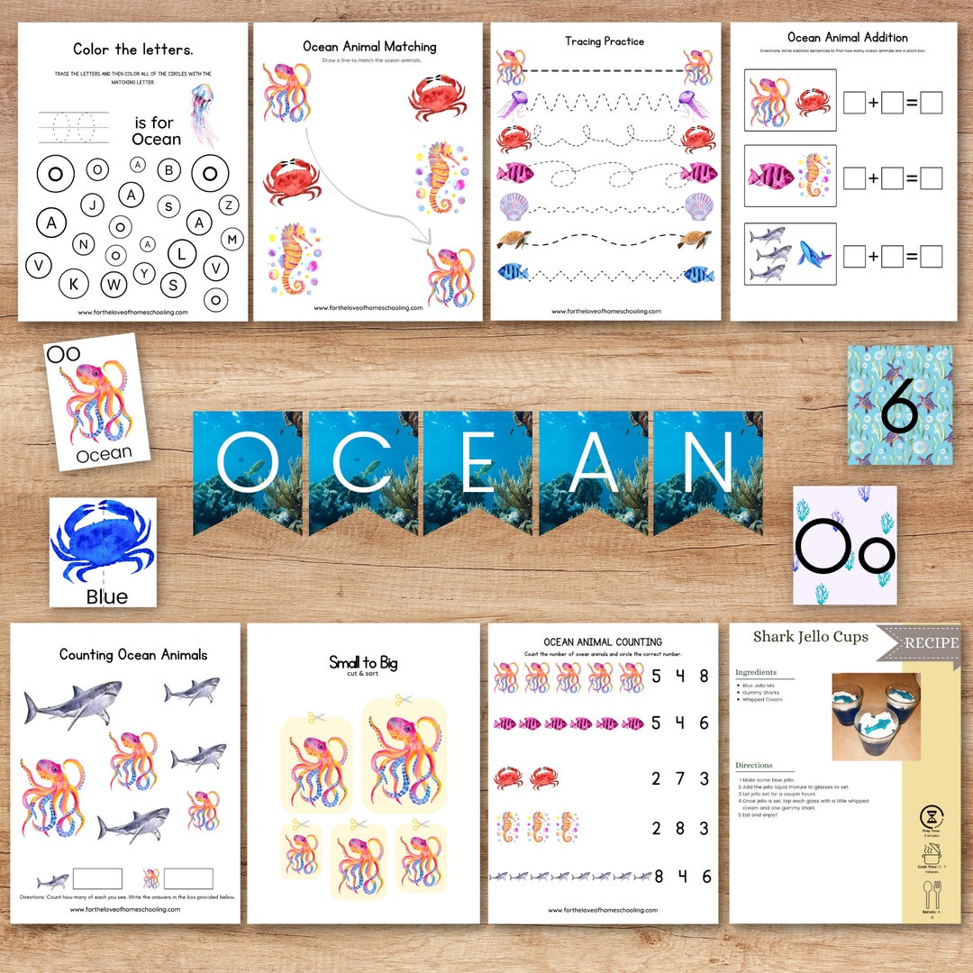 O is for Ocean Early Learning Pack - Etsy