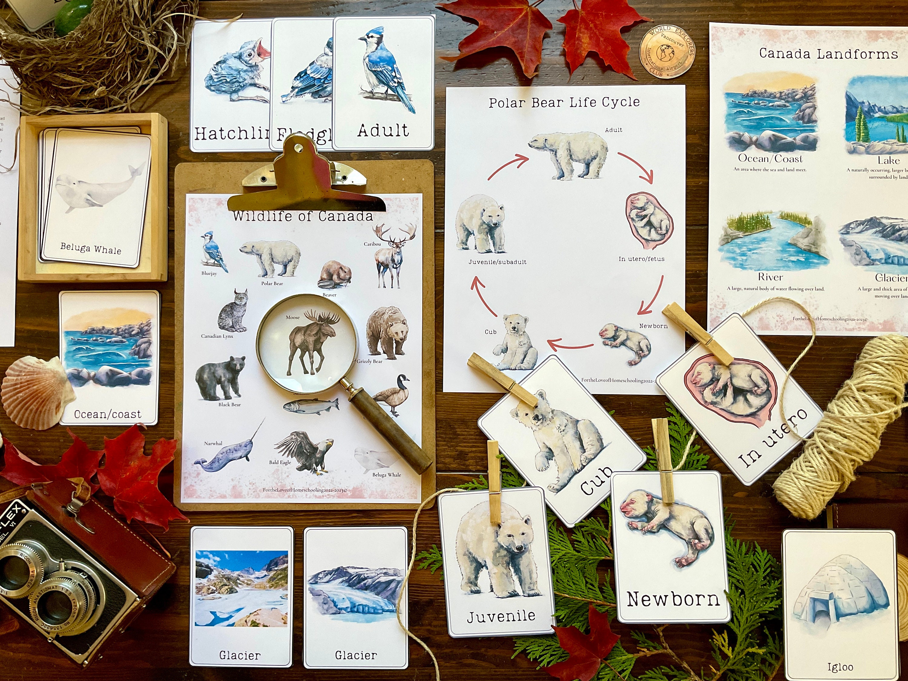 Canada Unit Study - Etsy