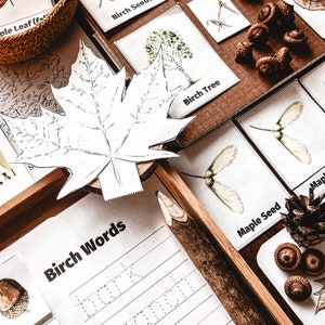 Trees and Leaves Learning Pack - Etsy