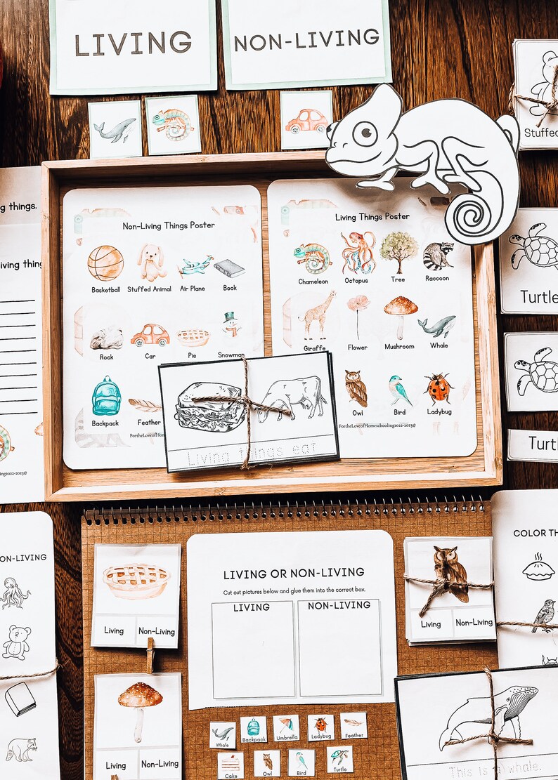 Living and Nonliving Learning Pack - Etsy