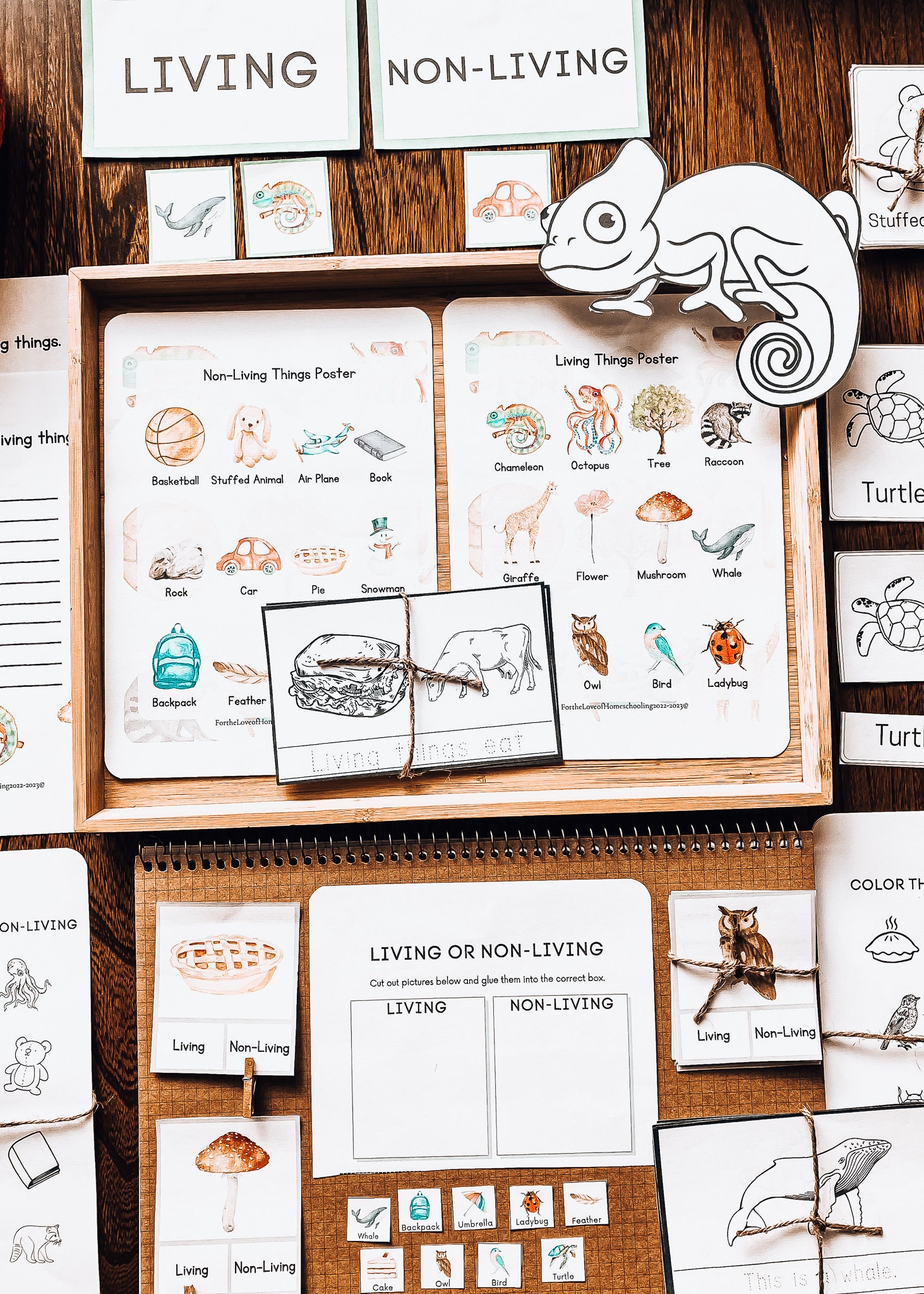 Living and Nonliving Learning Pack - Etsy