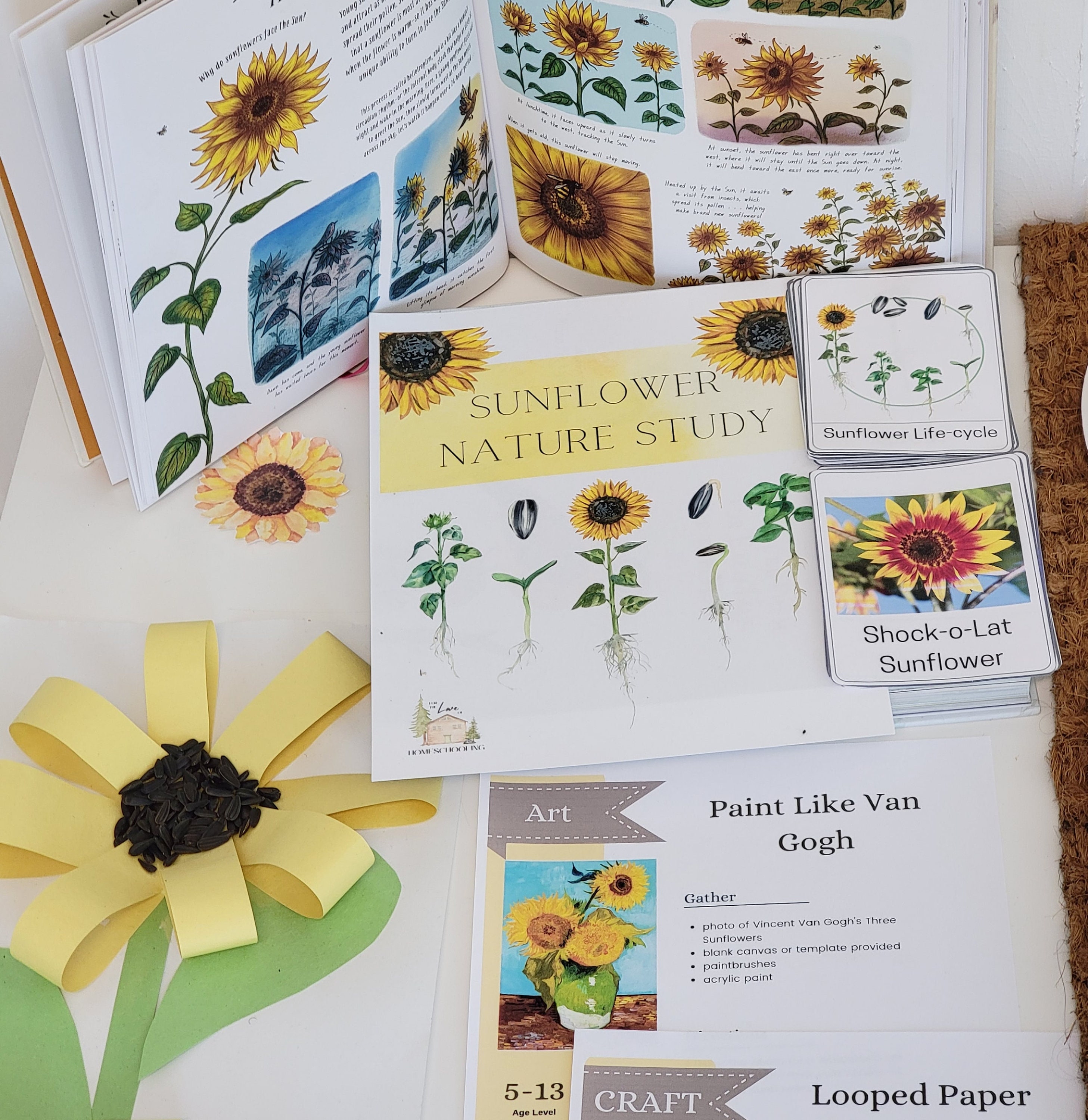Sunflower Nature Study - Etsy