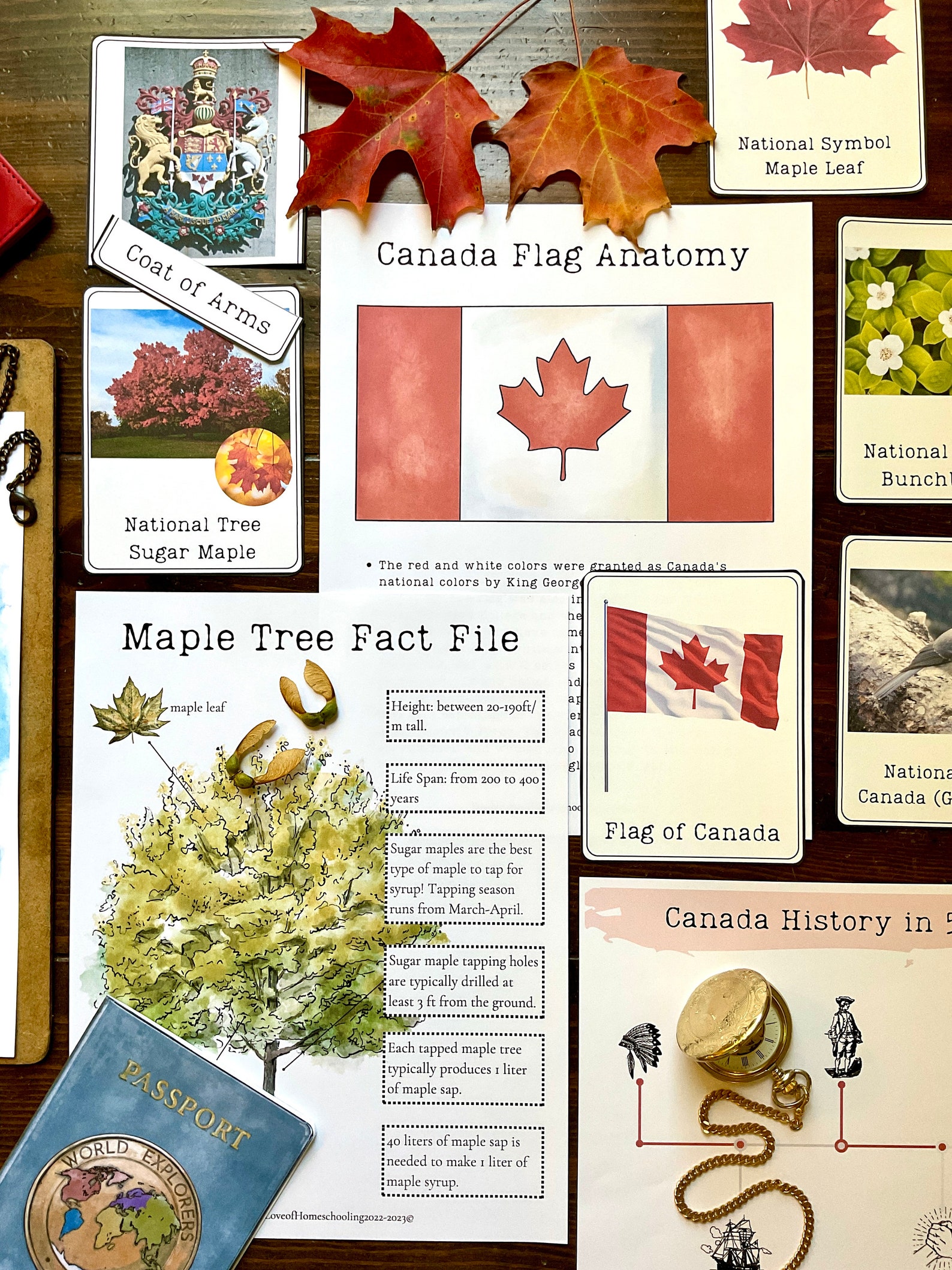 Canada Unit Study - Etsy