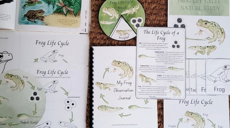 Frog Life Cycle Nature Study - Etsy