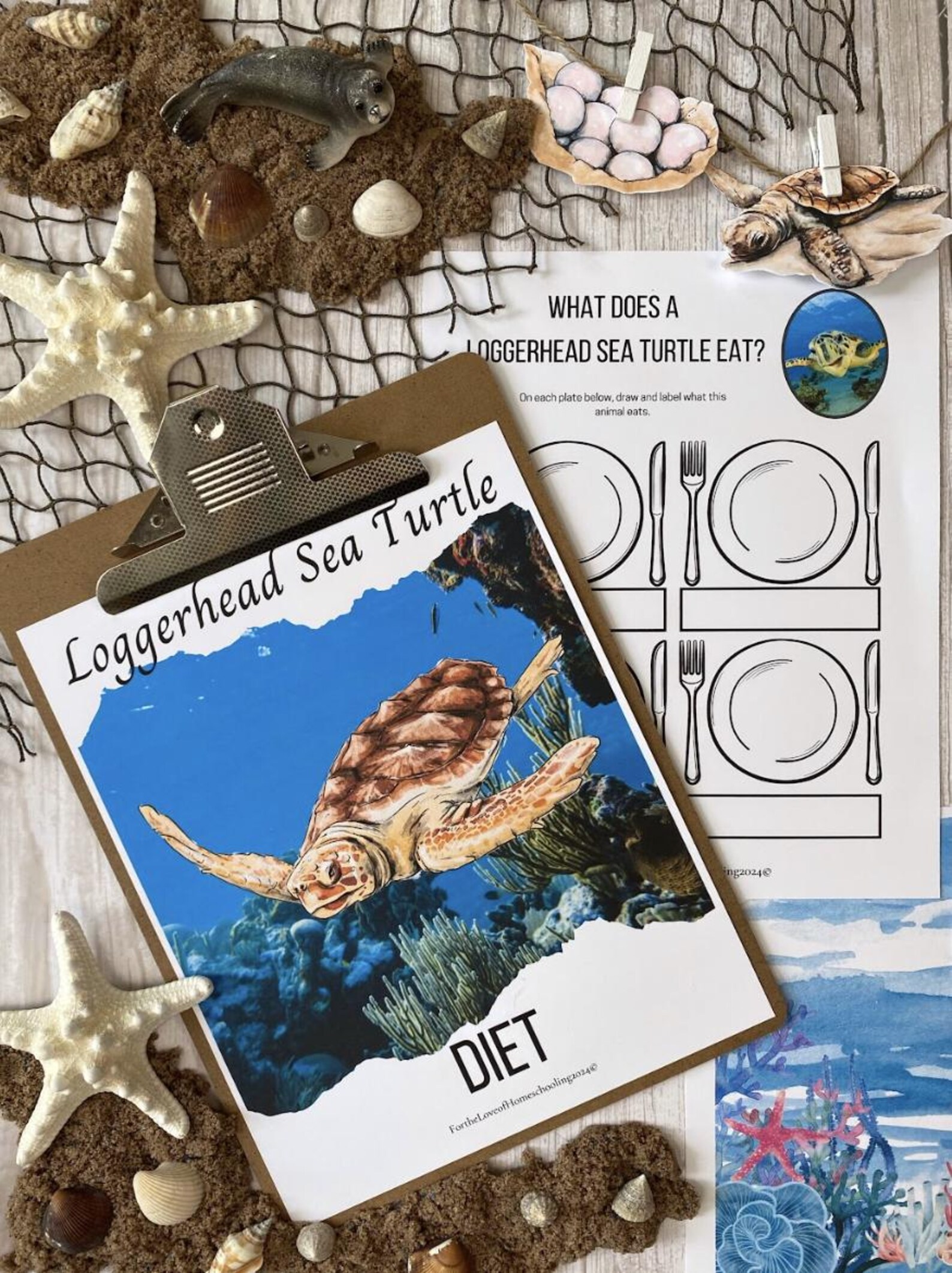 Loggerhead Sea Turtle Nature Study - Etsy