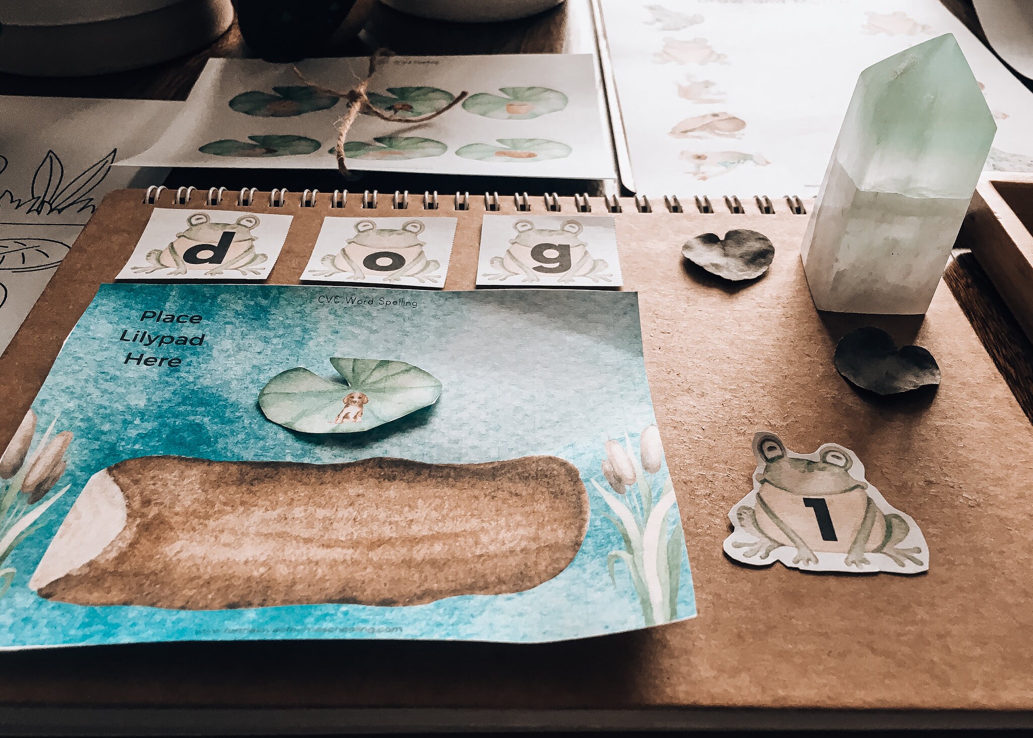 Frog Themed Learning Pack - Etsy