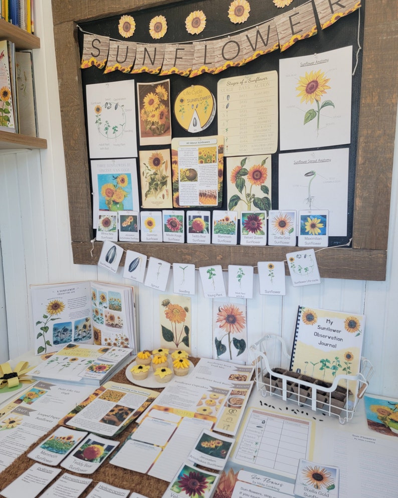 Sunflower Nature Study - Etsy