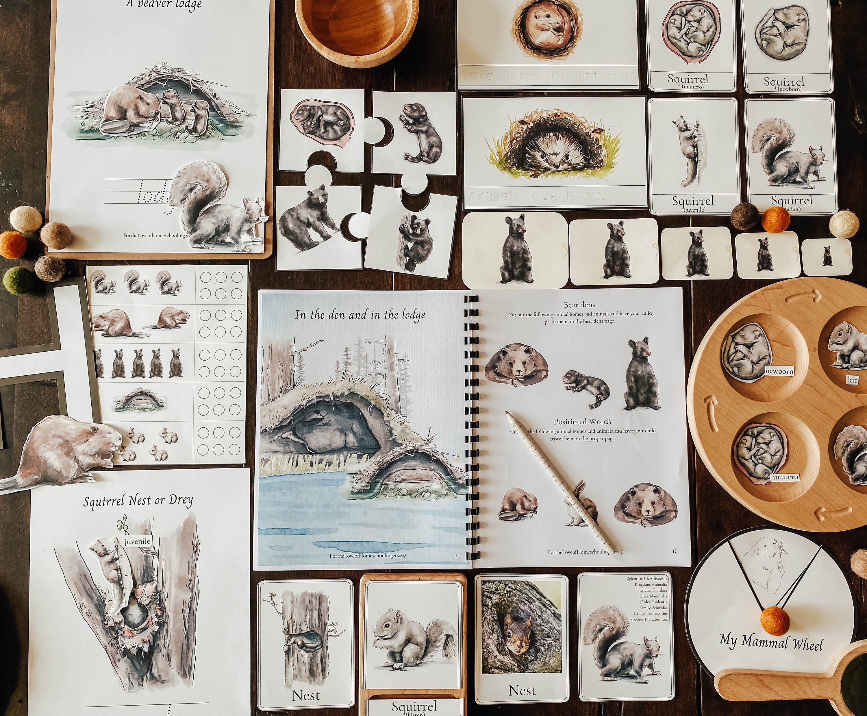 Animal Homes Nature Study - Etsy