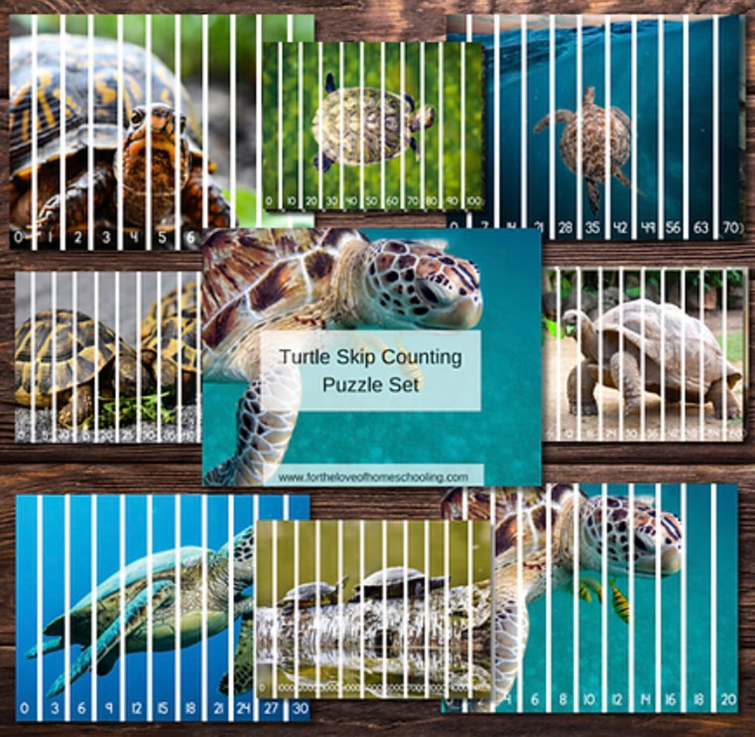 Turtle Skip Counting Puzzle Set - Etsy