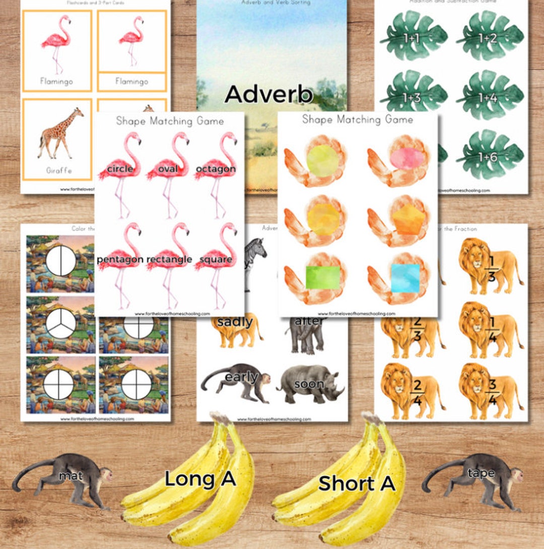 Zoo Themed Learning Pack - Etsy