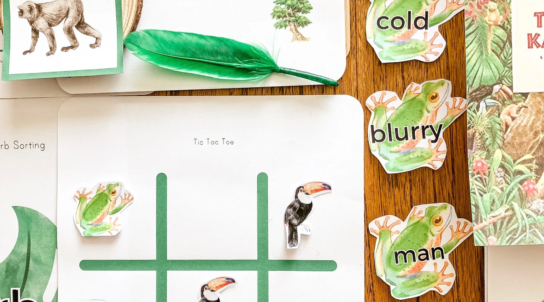 The Great Kapok Tree Book Unit - Etsy