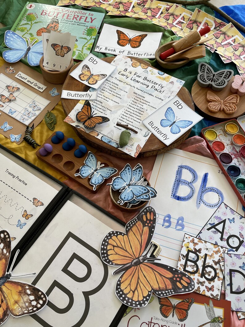 B is for Butterfly Learning Pack - Etsy