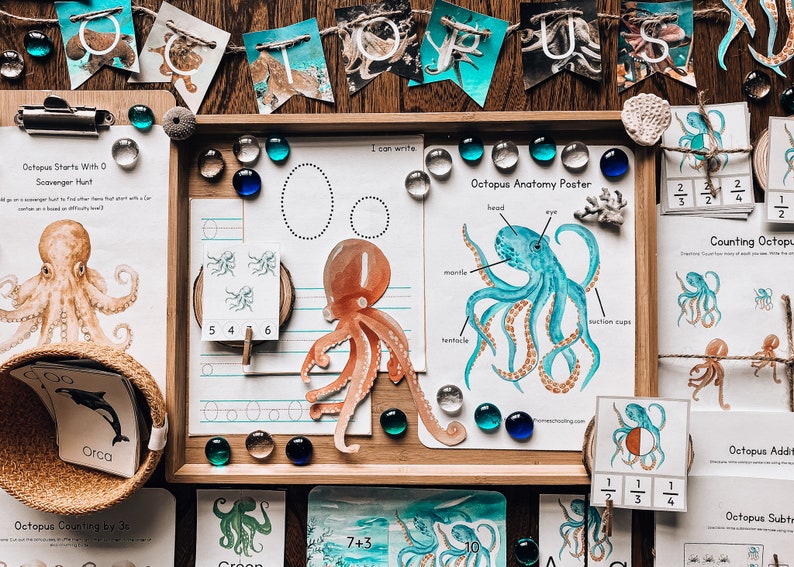 O is for Octopus Early Learning Pack - Etsy