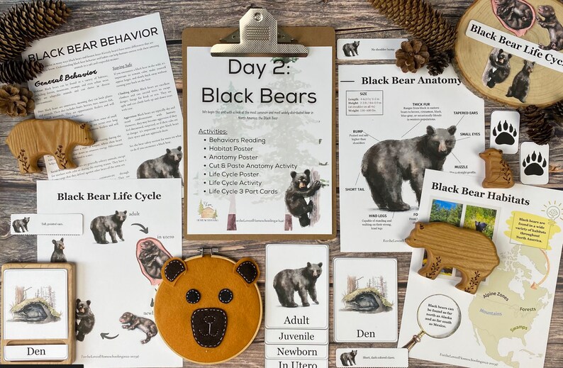 Bear Safety Unit - Etsy