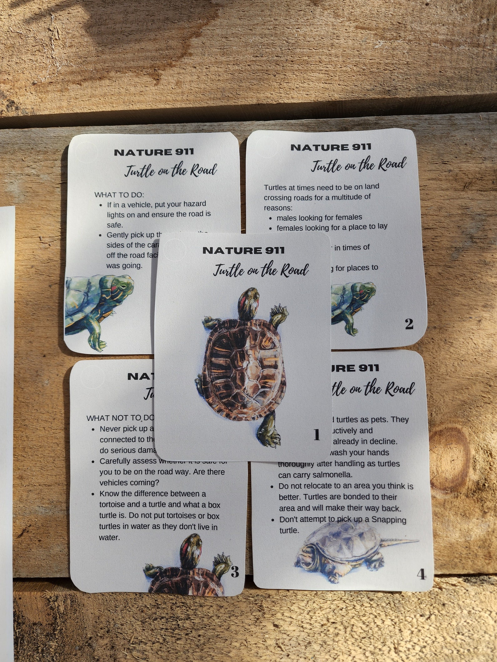 Nature 911: on the Pond - Etsy