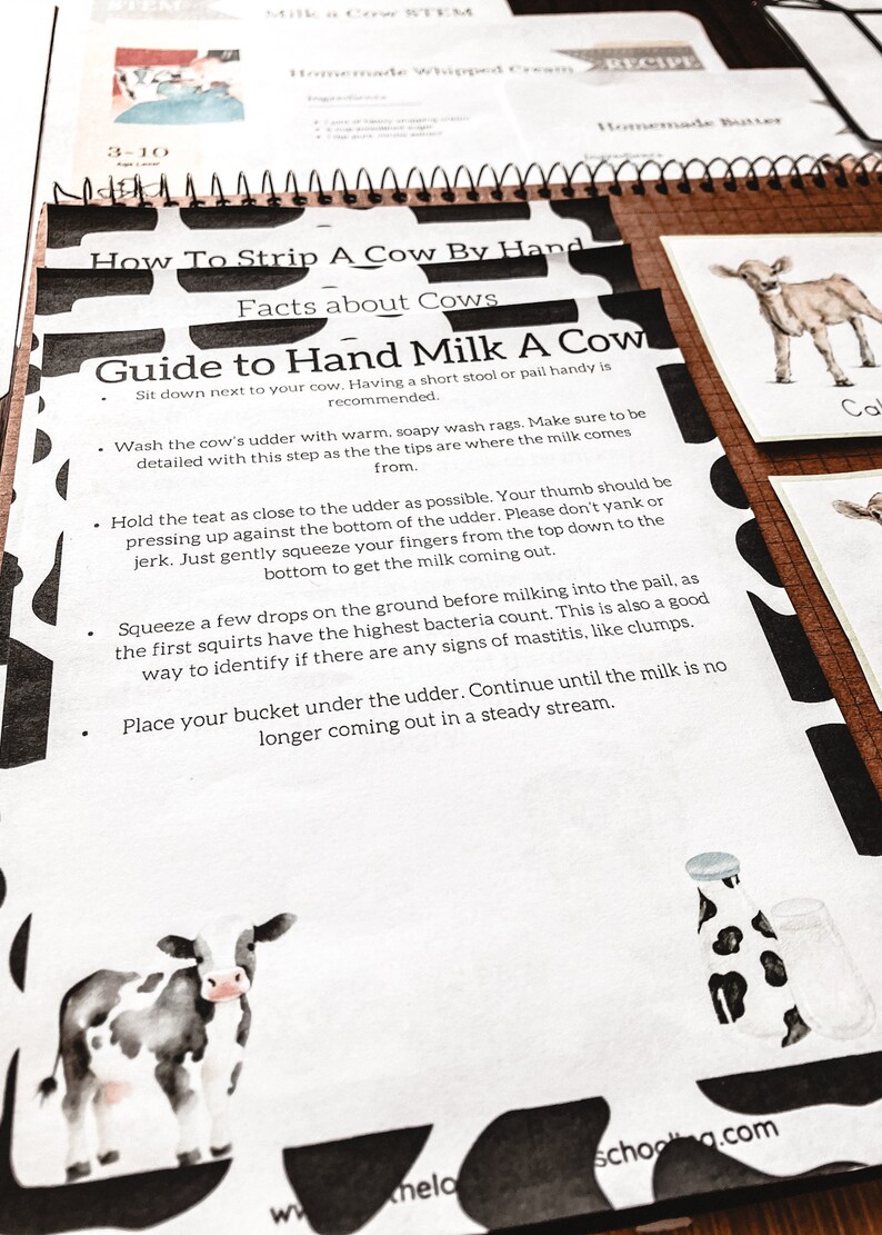 Cow Book Themed Learning Pack - Etsy