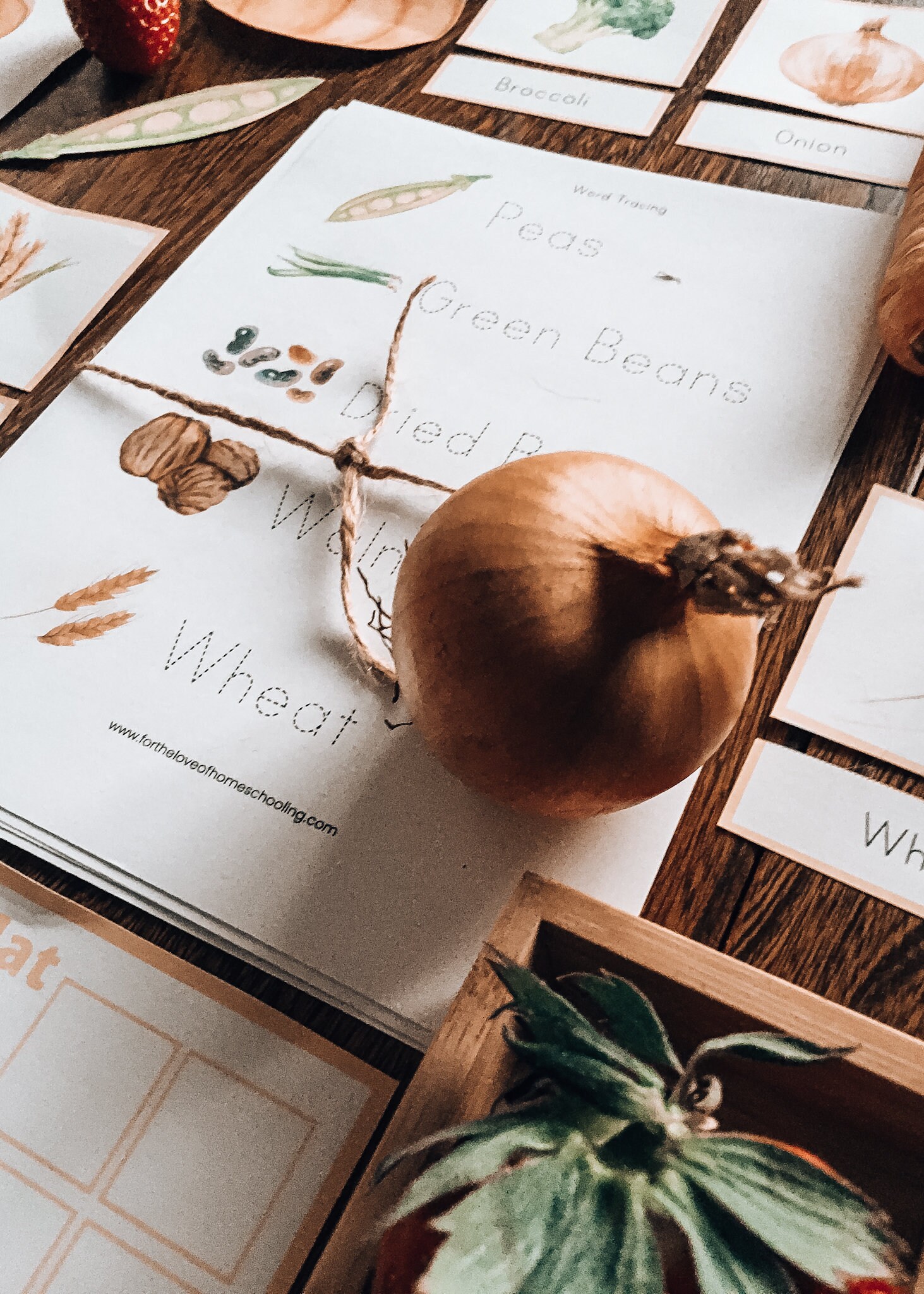 Fruits and Vegetables Themed Book Learning Pack - Etsy