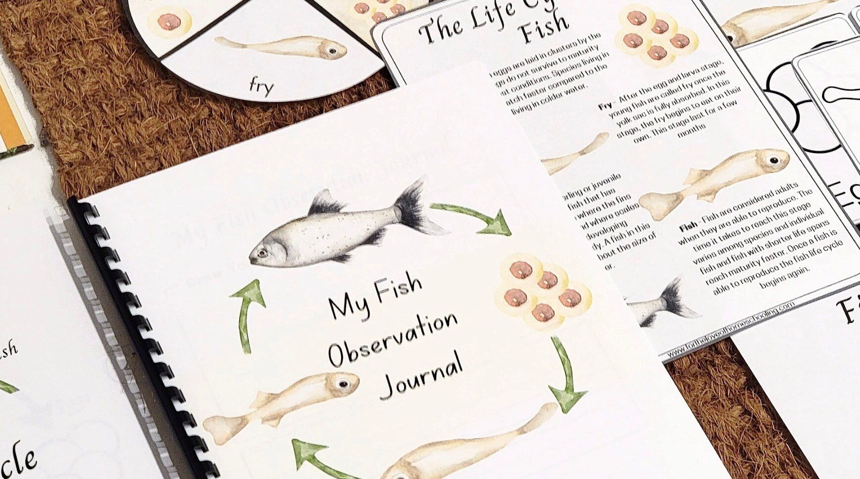 Fish Life Cycle Nature Study - Etsy