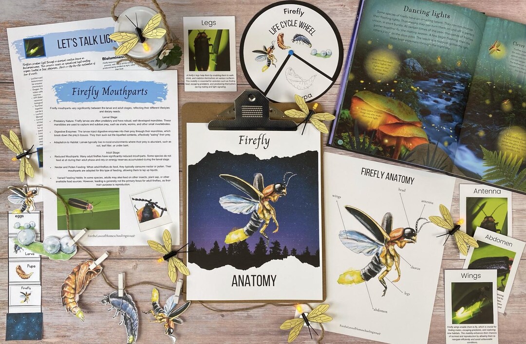 Firefly Unit Study - Etsy