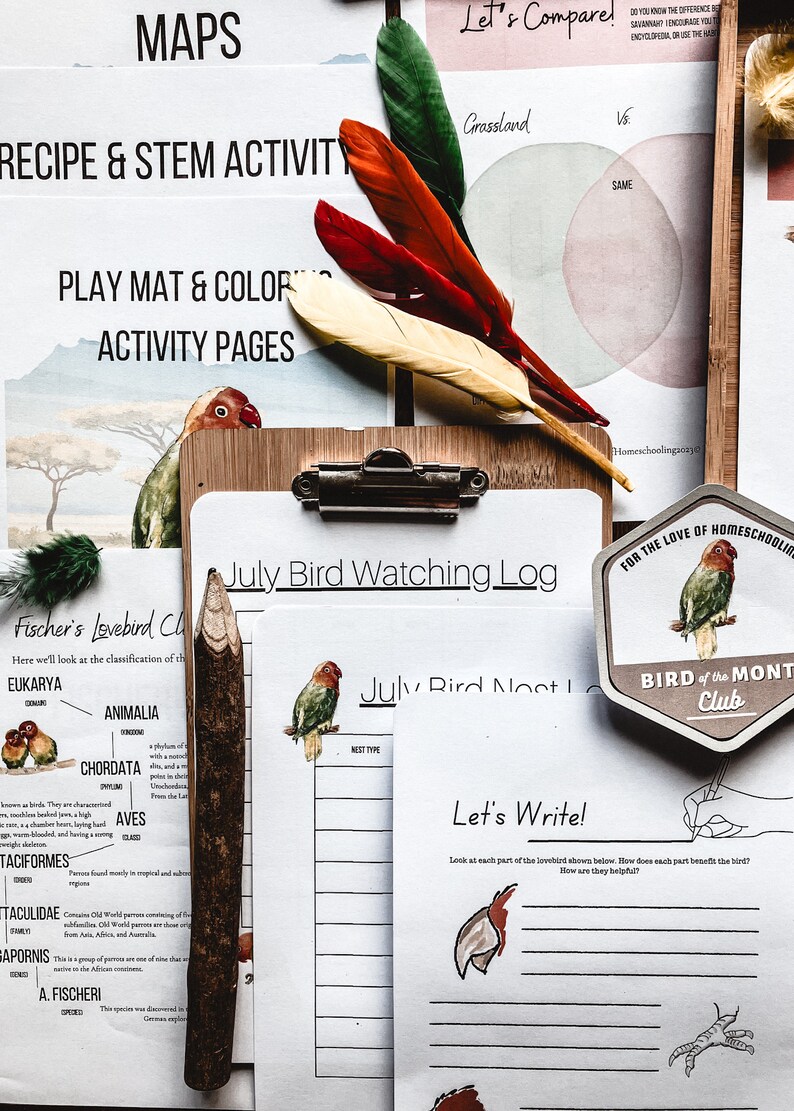 Fischer's Lovebird Unit Study - Etsy