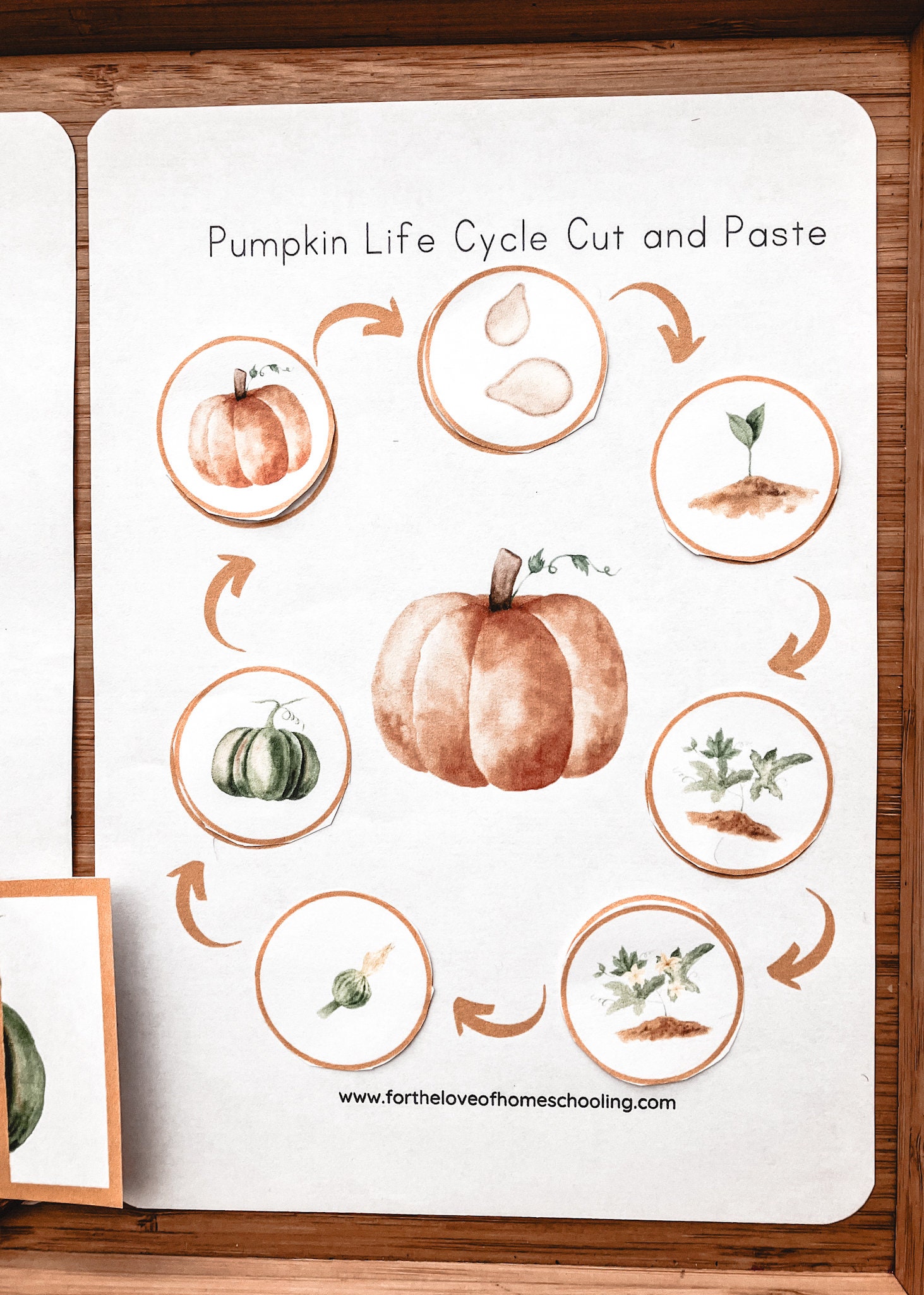 The County Fair Book Themed Learning Pack - Etsy