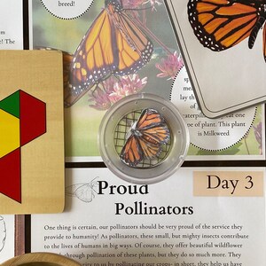 The 5 P's of Pollinators - Etsy