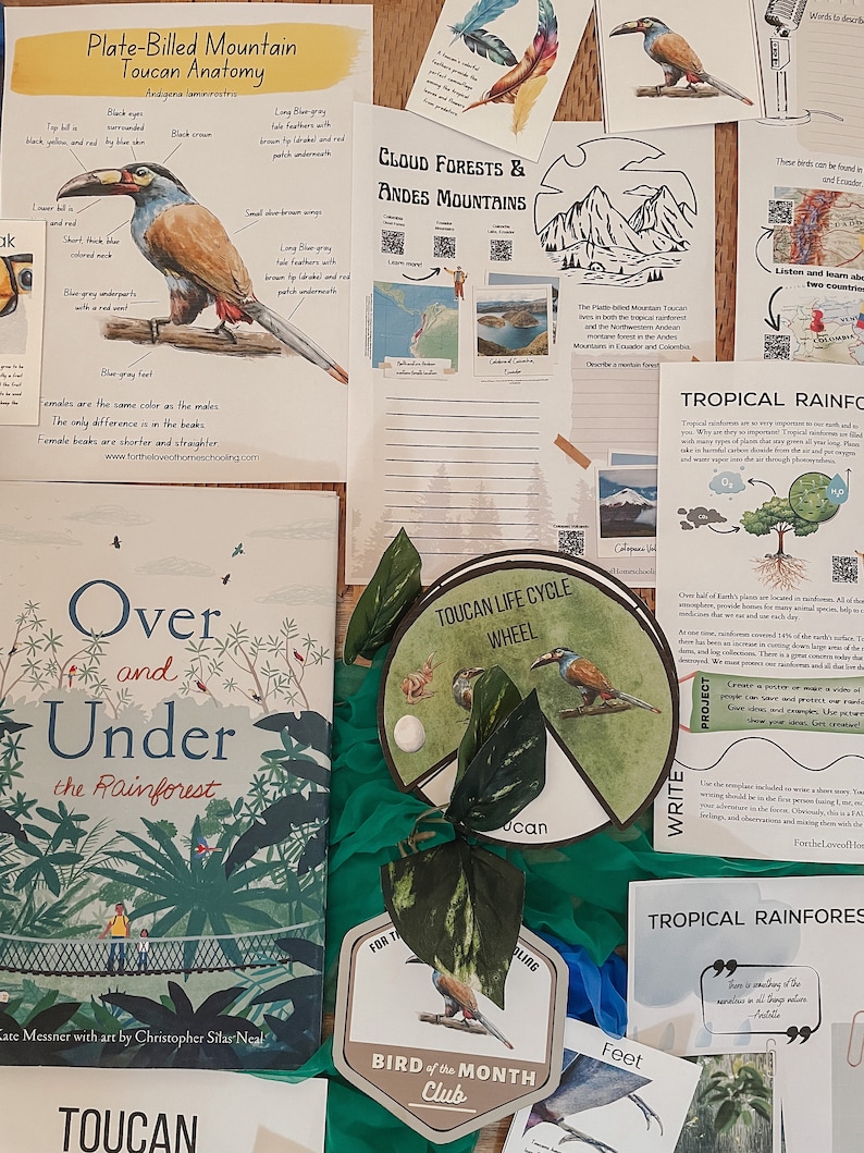 Plate-billed Mountain Toucan Nature Study - Etsy