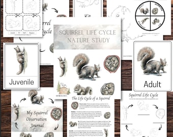 Squirrel Unit Study, Squirrel Life Cycle, Squirrel Anatomy, Fall Unit ...