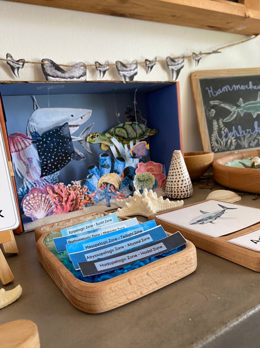 Oceans Diorama Project - Etsy