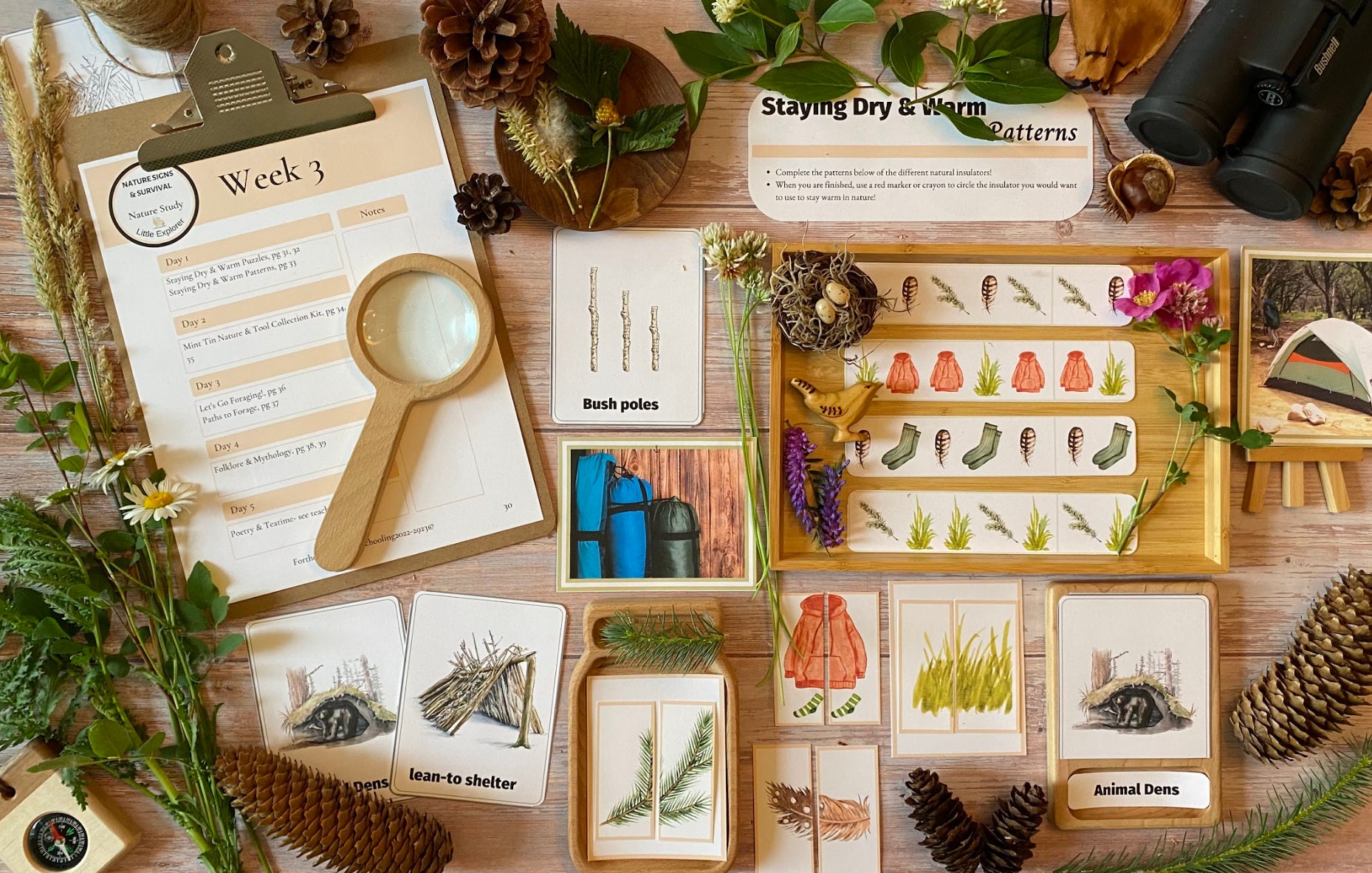 Nature Signs & Survival Nature Study - Etsy